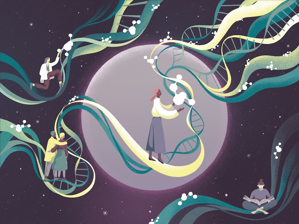 Home | Global Observatory